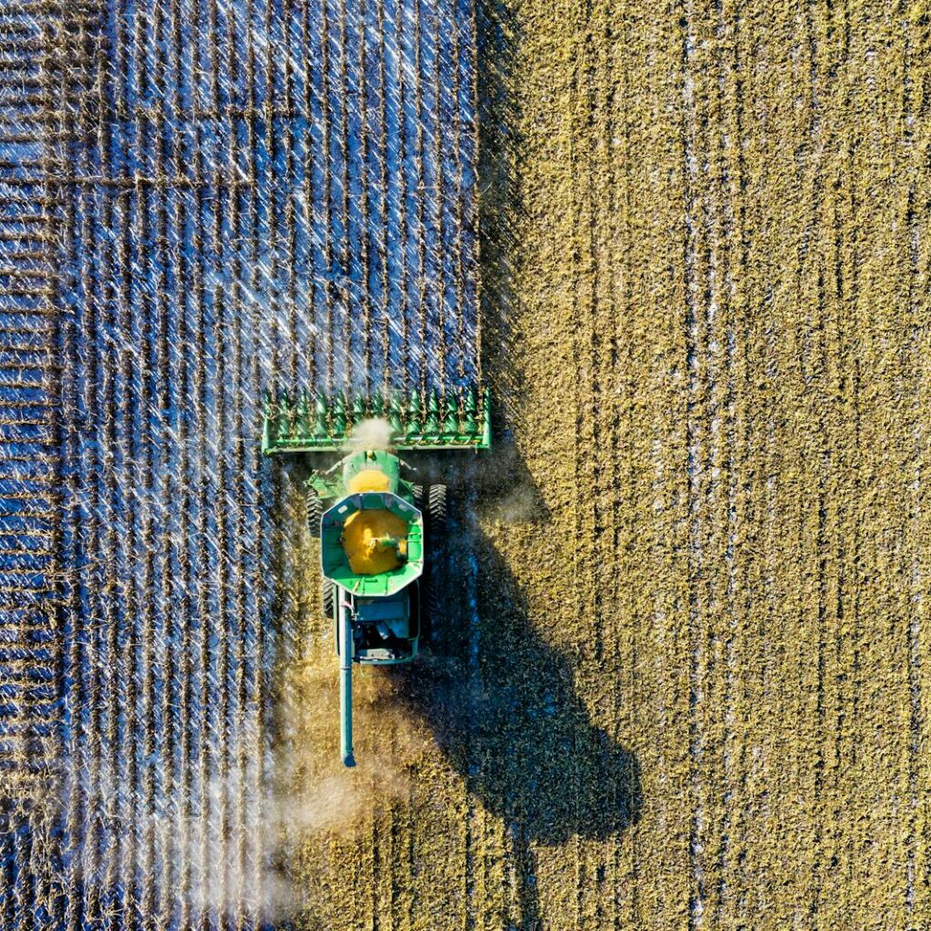 Gnojówka z żywokostu – naturalny nawóz dla Twoich roślin