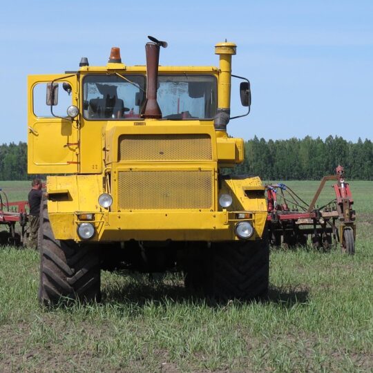 Gnojówka z pokrzywy na mszyce – naturalna ochrona Twoich roślin