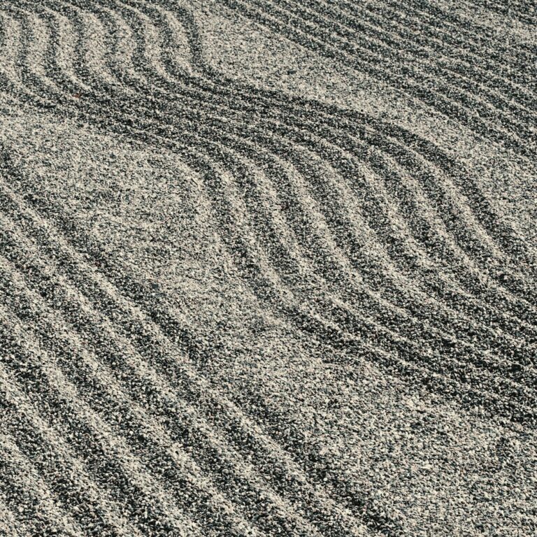 Krowa miniaturka – wszystko, co musisz wiedzieć o tych przeuroczych ...