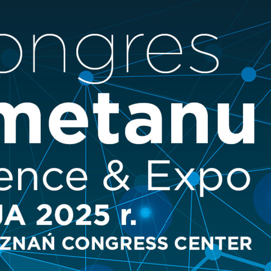 Krowa miniaturka – wszystko, co musisz wiedzieć o tych przeuroczych ...